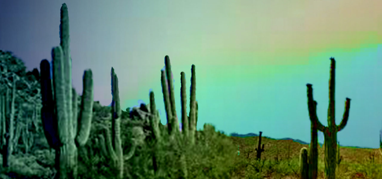 KXCI | Real People, Real Radio | Tucson's Community Radio