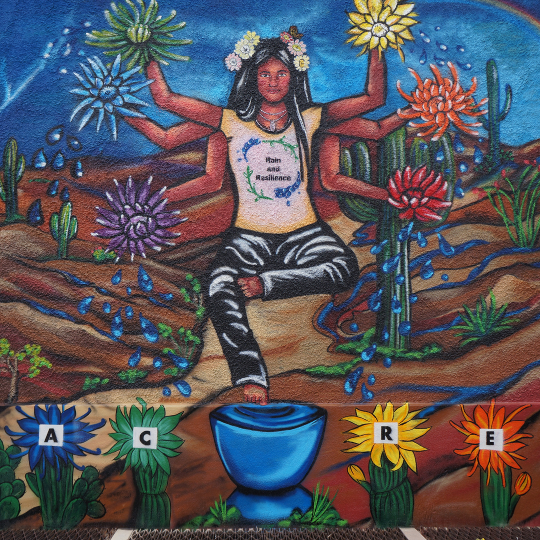 KXCI Nonprofit Spotlight The Resilience Project