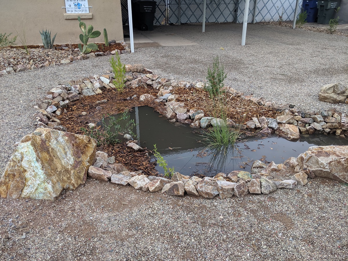 Hydrate at the Living Lab: Rain Garden Care Class / KXCI