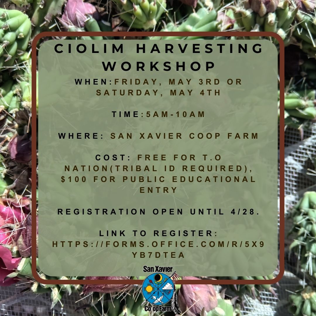 Ciolim (Cholla Bud) Harvesting Workshop / KXCI
