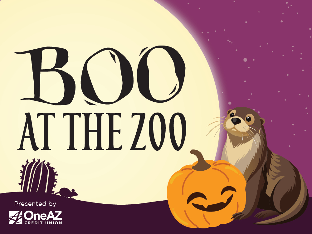 Boo at the Zoo October 23 through 26, 2025 / KXCI
