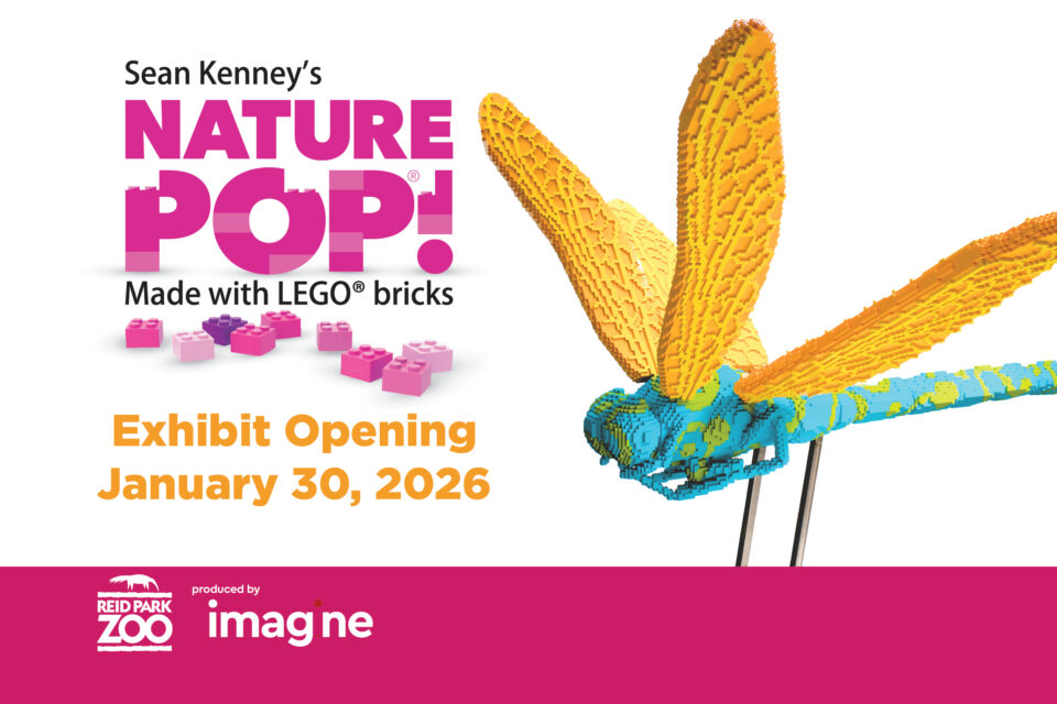 Sean Kenney’s Nature Pop! / KXCI